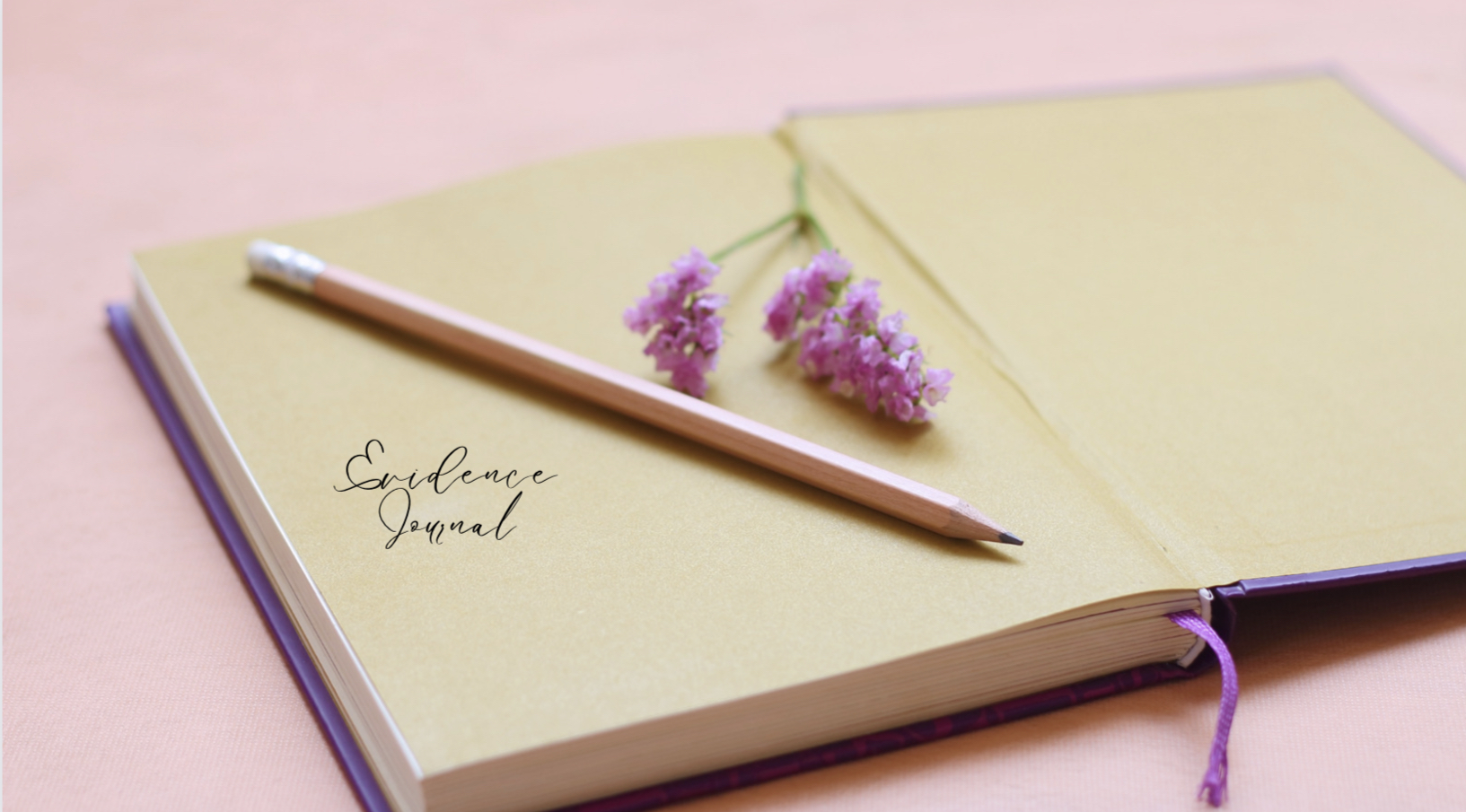 Try it: the evidence journal prompt - Boldly-Forward